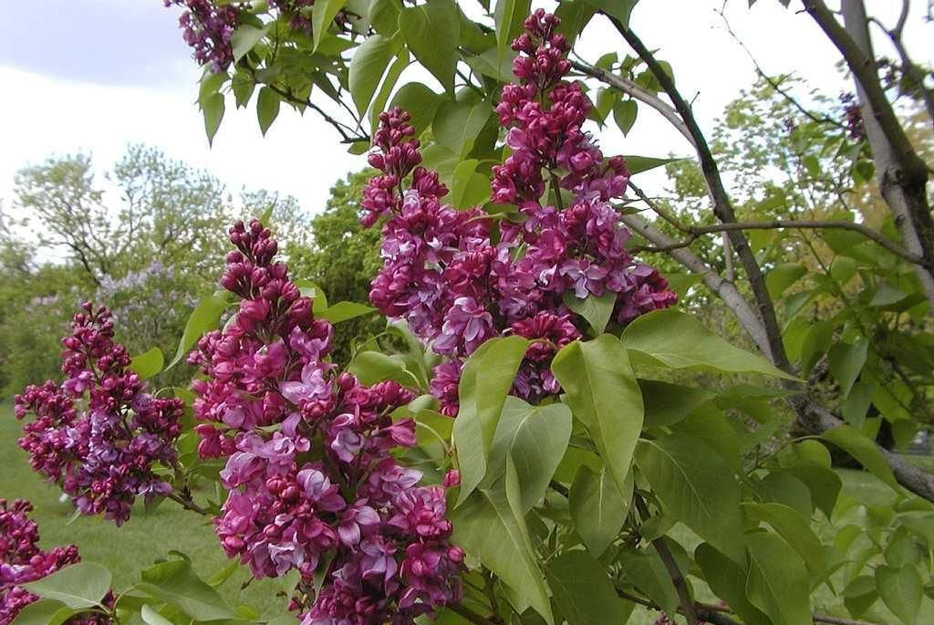 12-aprel kuni kuzatiladigan ob-havo prognozi eʼlon qilindi - Xalq so'zi